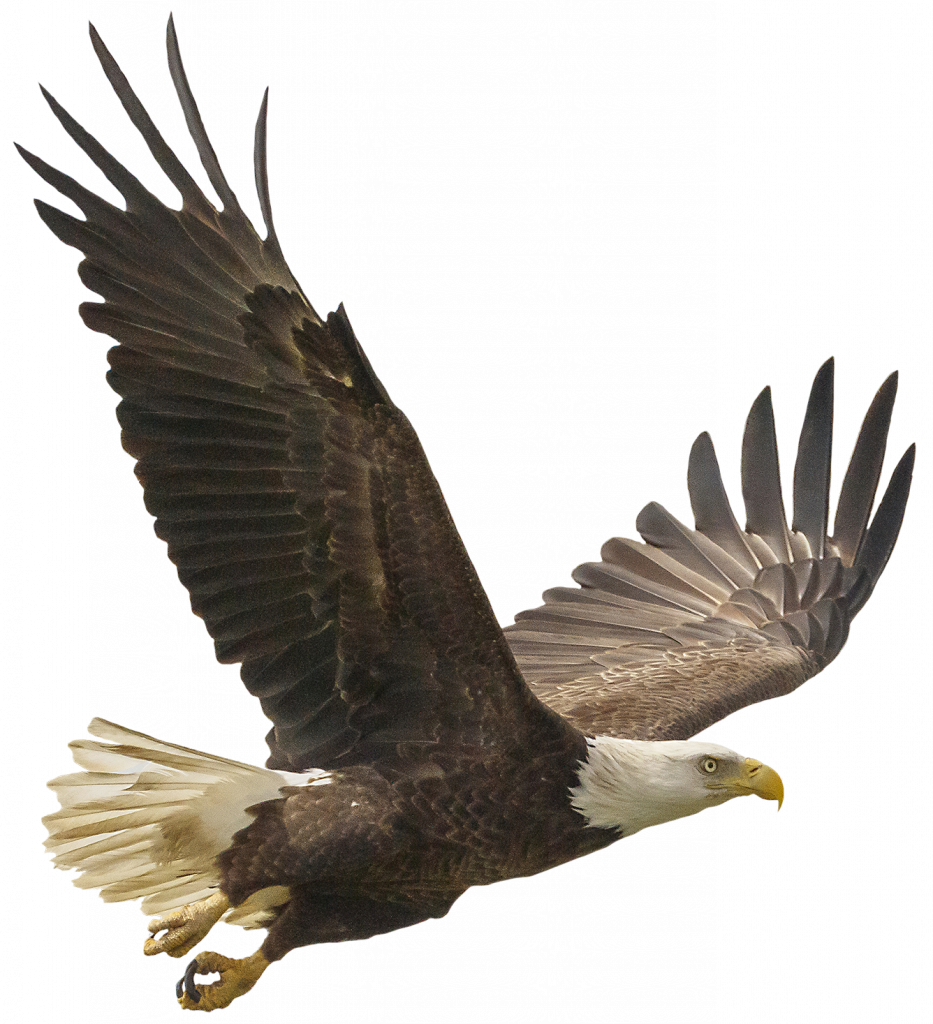 Conservation Without Conflict